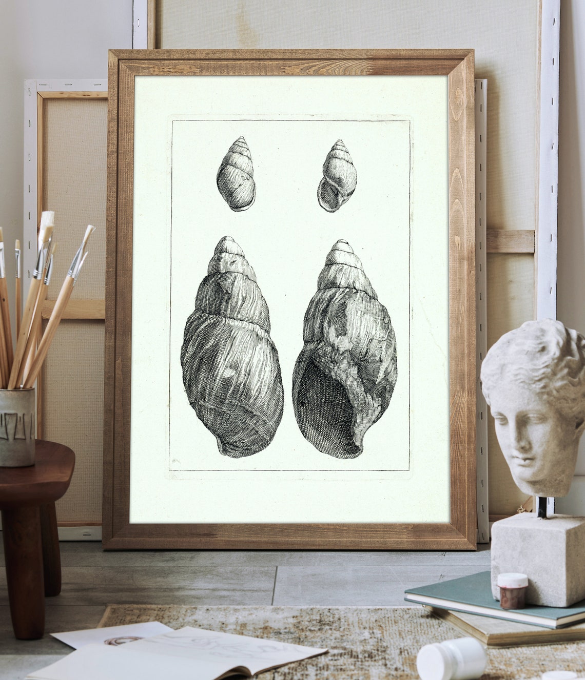 Vintage Sea Shells Print Wall Art Digital Art Black and - Etsy