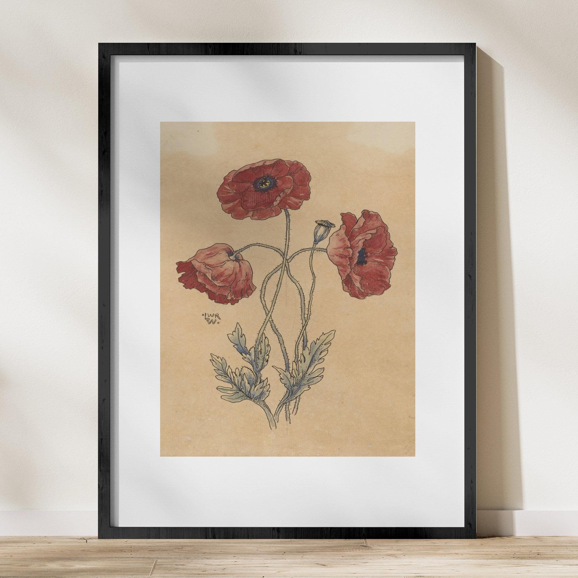 Vintage Poppy Prints,poppy Watercolor Print,vintage Flower Painting ...