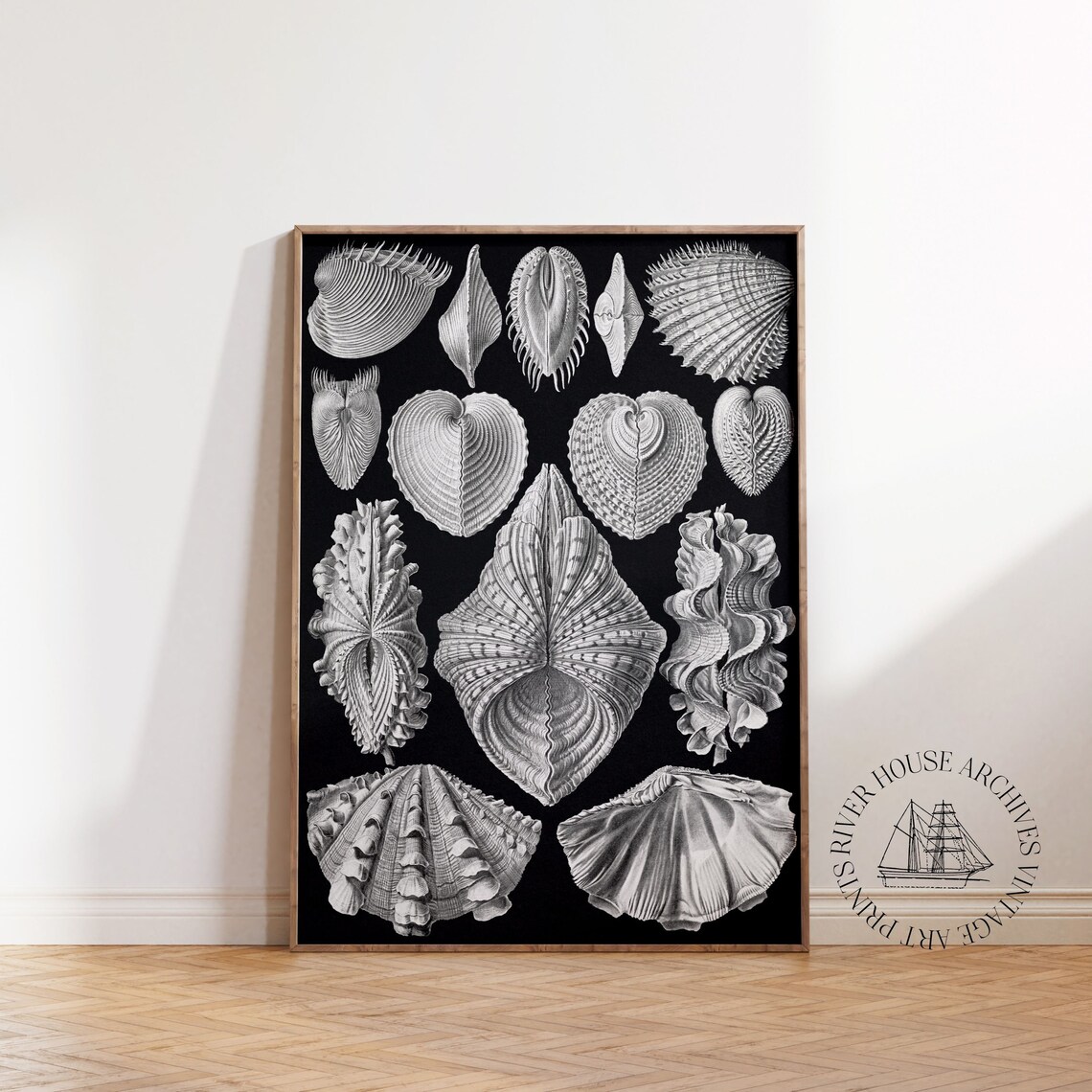 Vintage Seashells Print, Wall Art, Digital Art, Black and White Etching ...