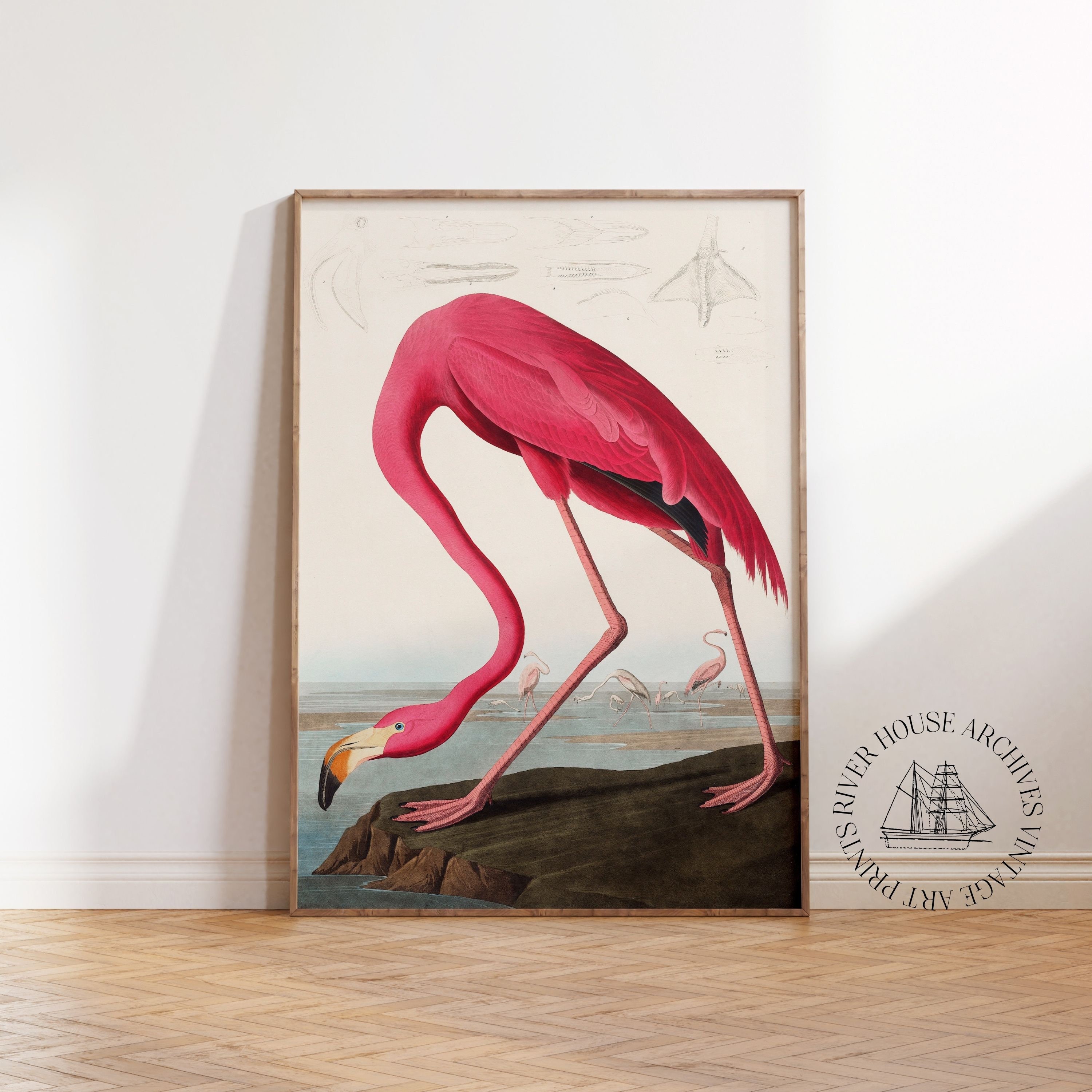 Vintage Pink Flamingo Print, Digital Download, Vintage Bird Print,retro ...
