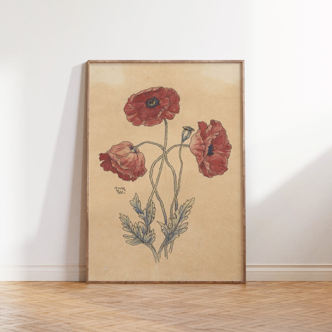 Vintage Poppy Prints,poppy Watercolor Print,vintage Flower Painting ...