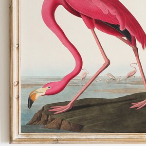 Vintage Pink Flamingo Print, Digital Download, Vintage Bird Print,retro ...