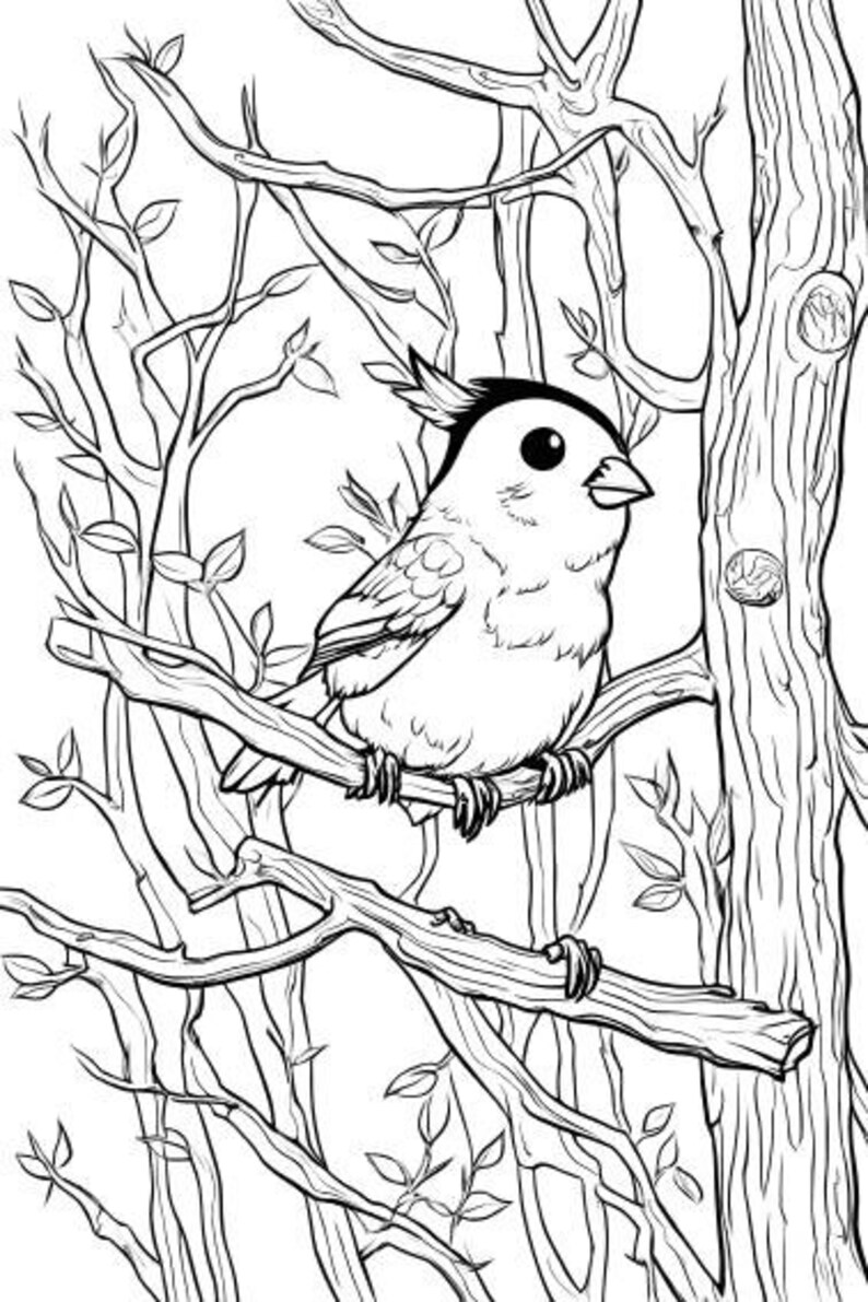 Wings of Wonder Bird Coloring Book Delight in the Art of Bird Coloring ...