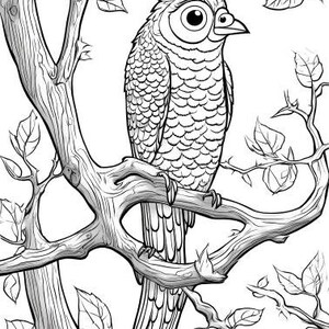 Wings of Wonder Bird Coloring Book Delight in the Art of Bird Coloring ...