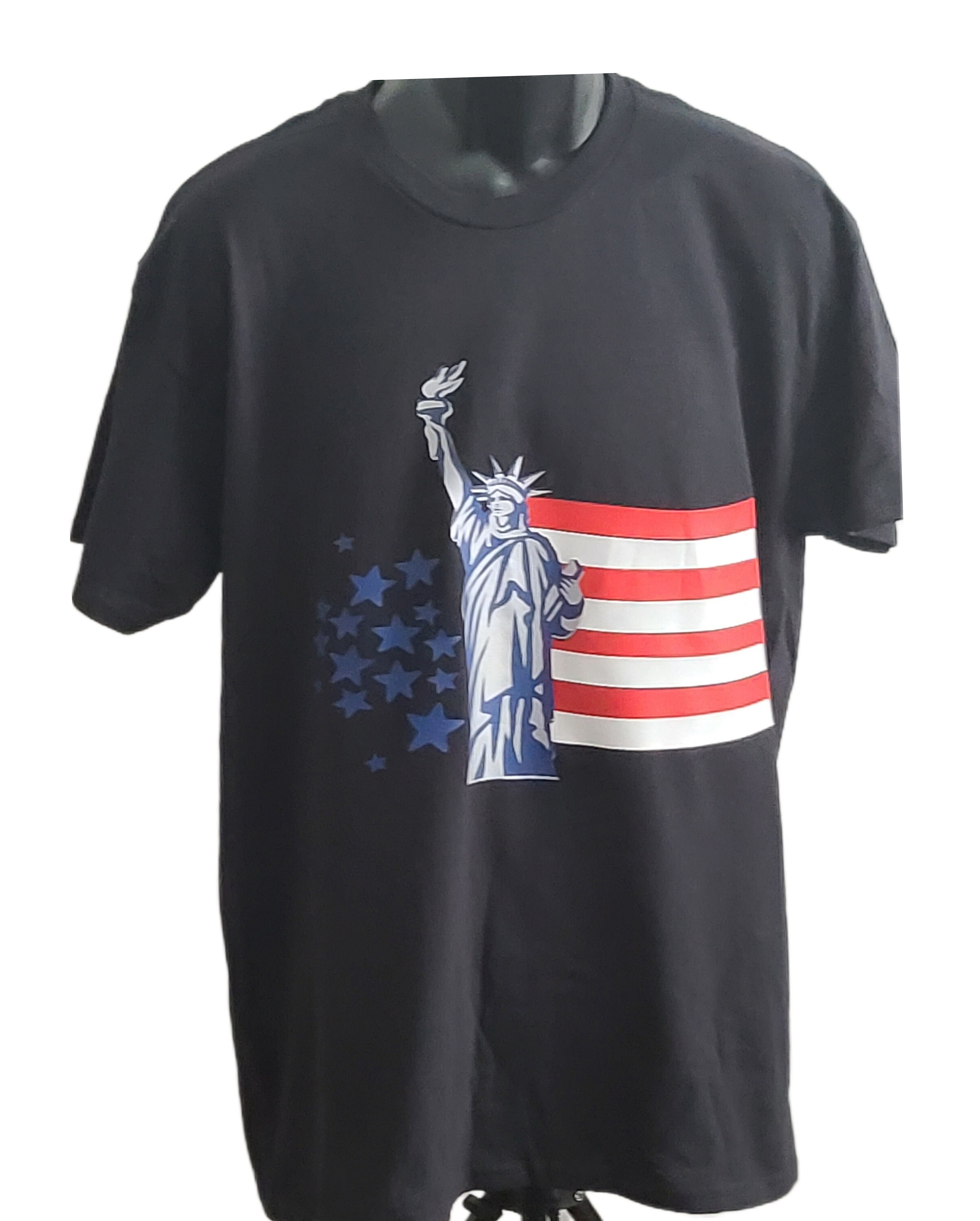 Status of Liberty, T-shirt, Everyday Wear Shirt - Etsy