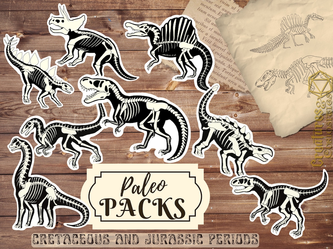 Paleo Packs Mini Skeleton Dinosaur Stickers - Etsy