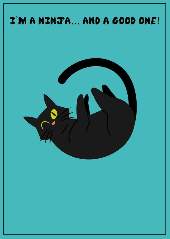 Funny Ninja Cats