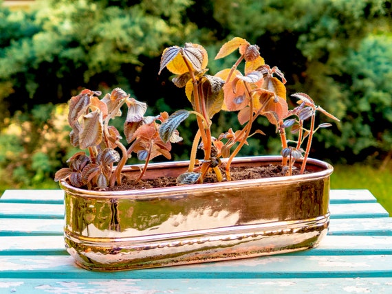 Copper Pots Window Boxes Planters Amazon.com : Achla Designs Plain