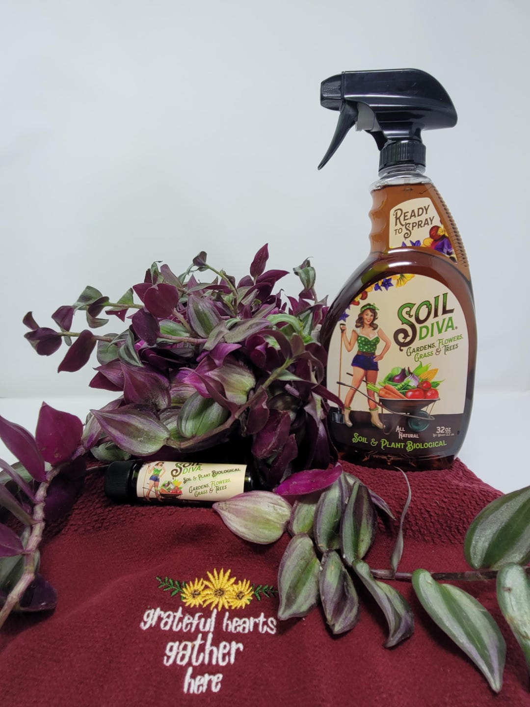 Soil Diva Starter Package - Etsy
