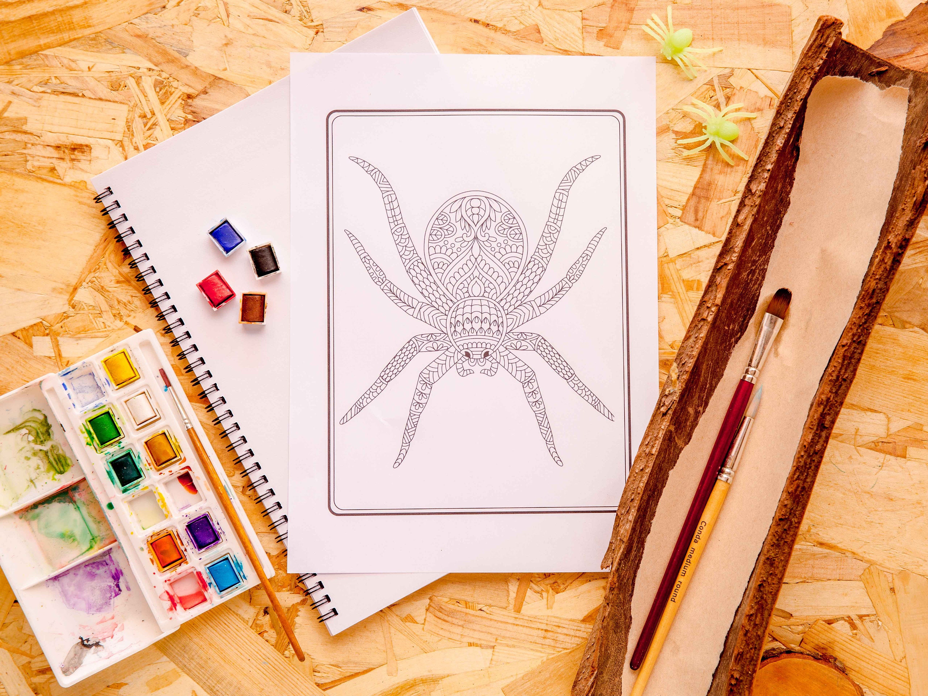 Spiders Journal for Kids, Digital Download, Waldorf Journal to Print at ...