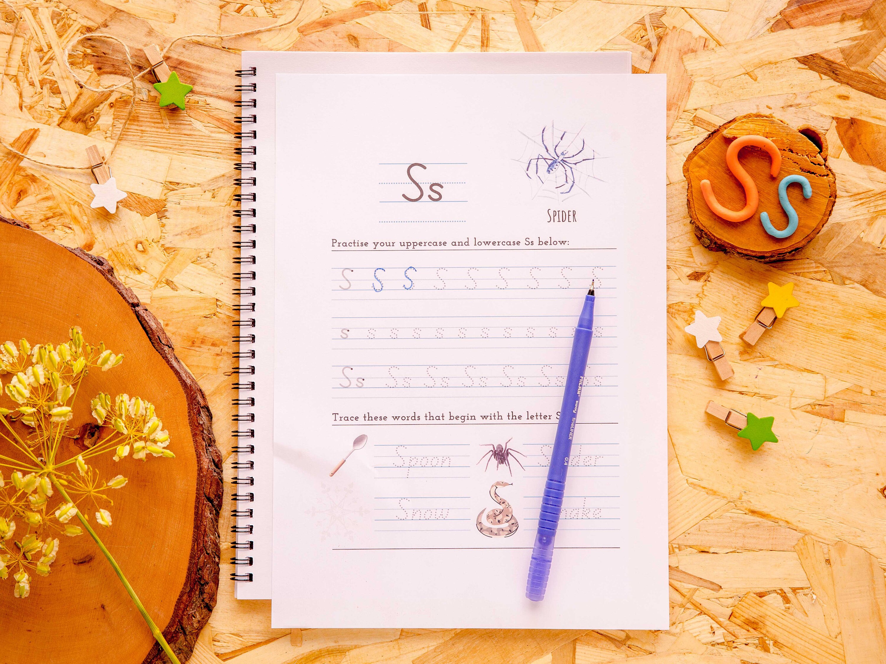 Spiders Journal for Kids, Digital Download, Waldorf Journal to Print at ...