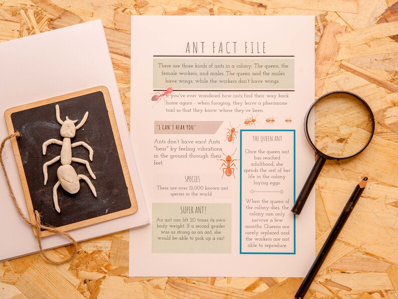 Ants Digital Journal Printable Waldorf Journal Ants Anatomy - Etsy