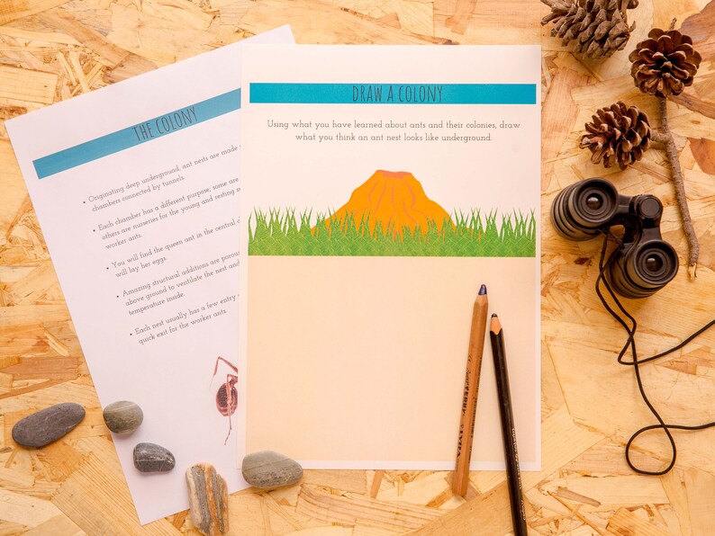 Ants Digital Journal Printable Waldorf Journal Ants Anatomy - Etsy