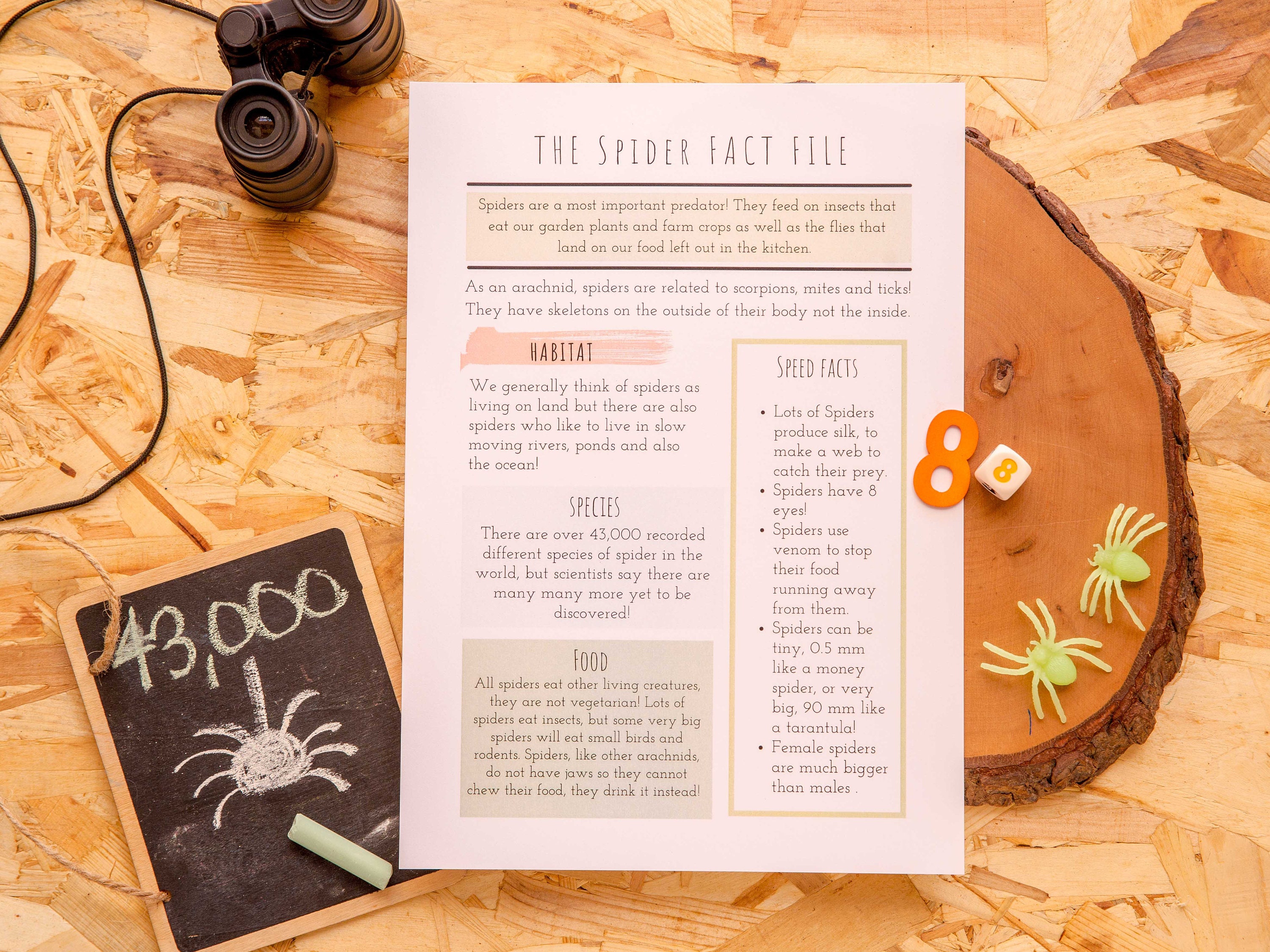 Spiders Journal for Kids, Digital Download, Waldorf Journal to Print at ...