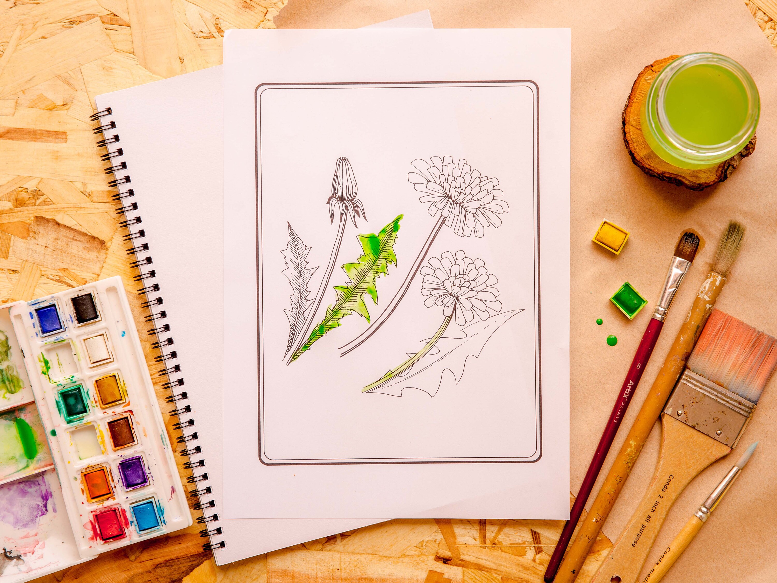 Dandelion Digital Journal, Printable Waldorf Journal, Dandelion Anatomy ...
