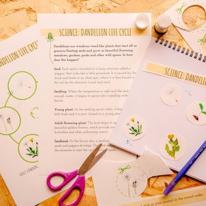 Dandelion Digital Journal, Printable Waldorf Journal, Dandelion Anatomy ...