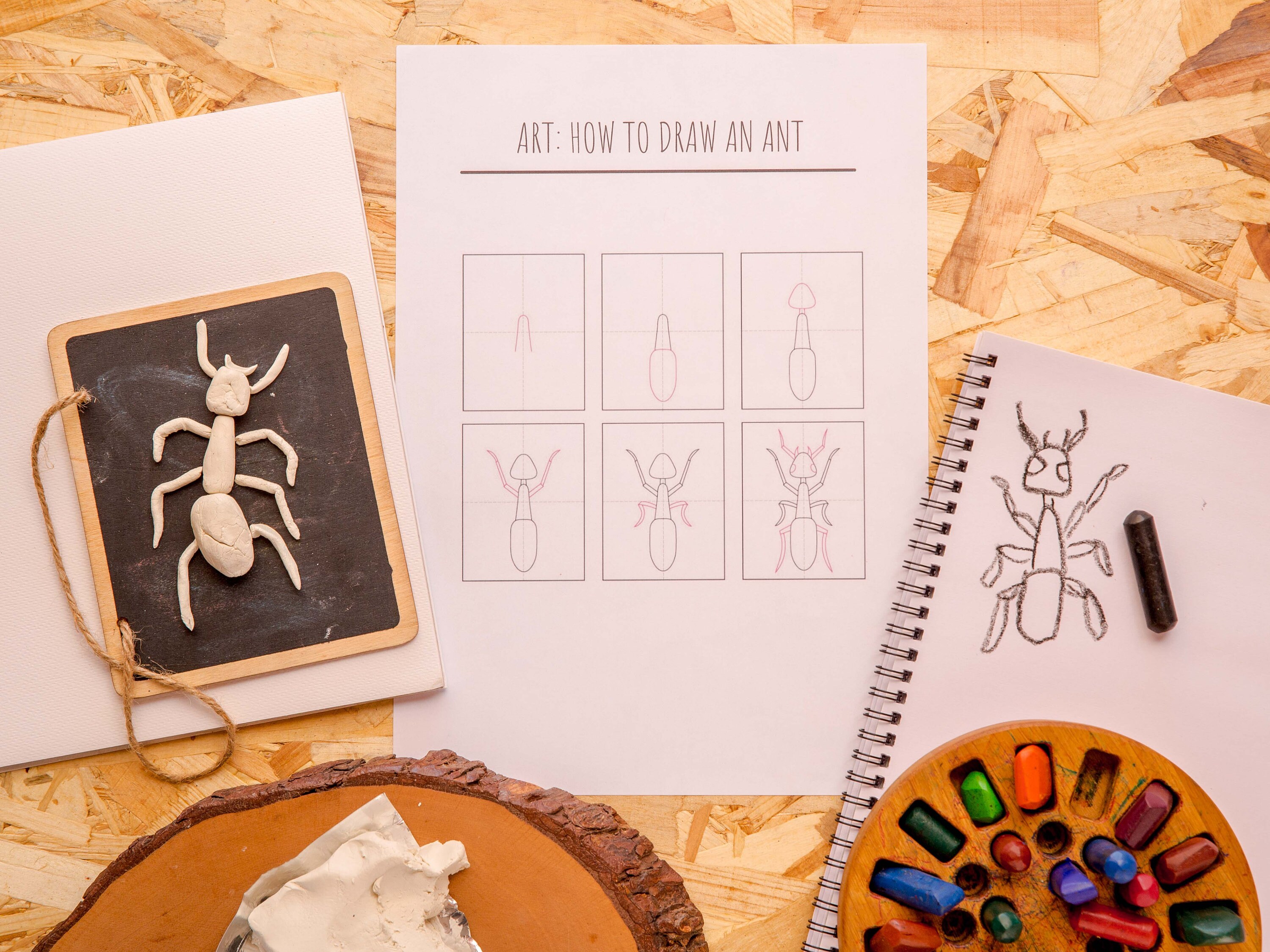 Ants Digital Journal, Printable Waldorf Journal, Ants Anatomy Journal ...