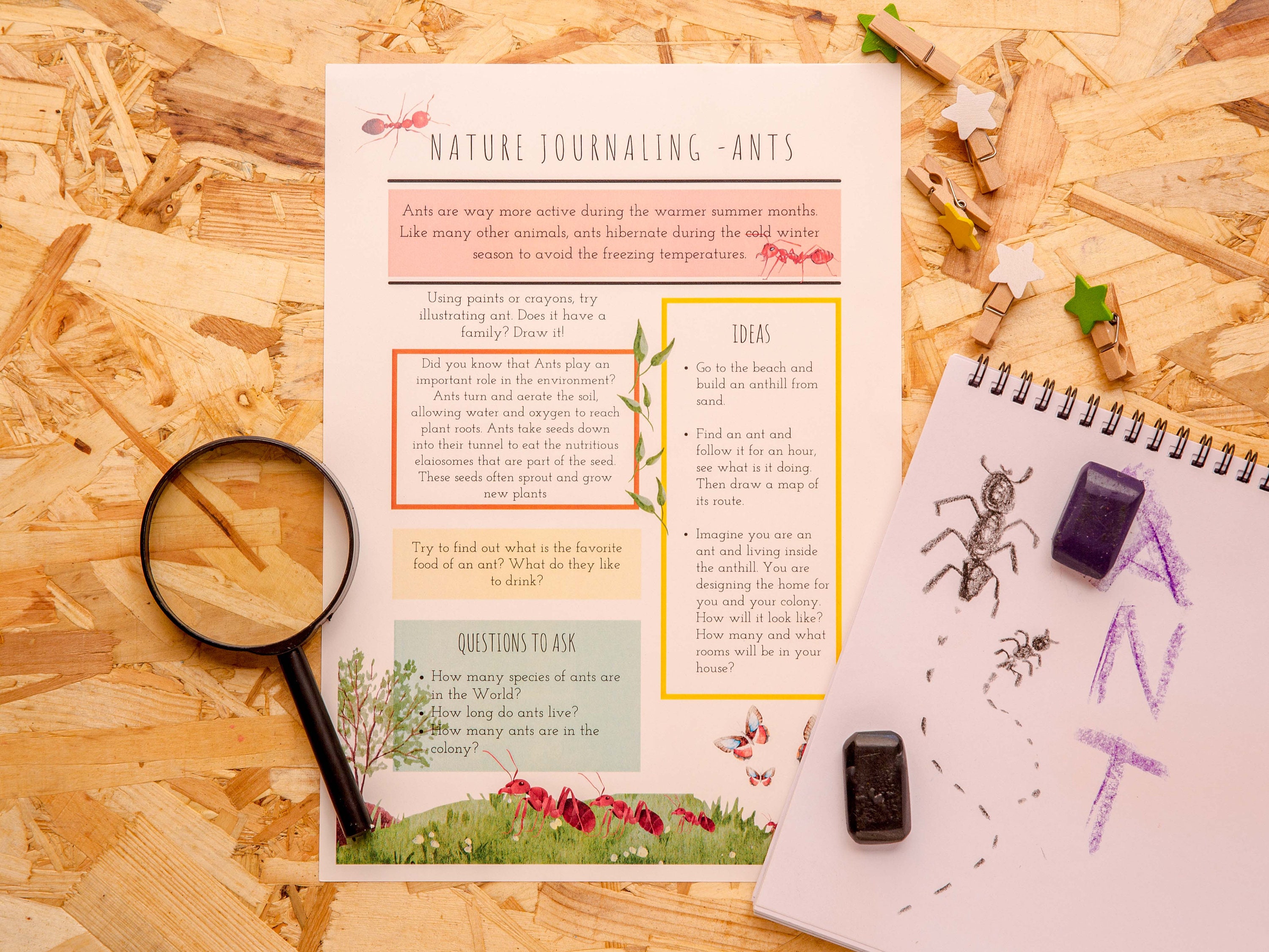 Ants Digital Journal, Printable Waldorf Journal, Ants Anatomy Journal ...