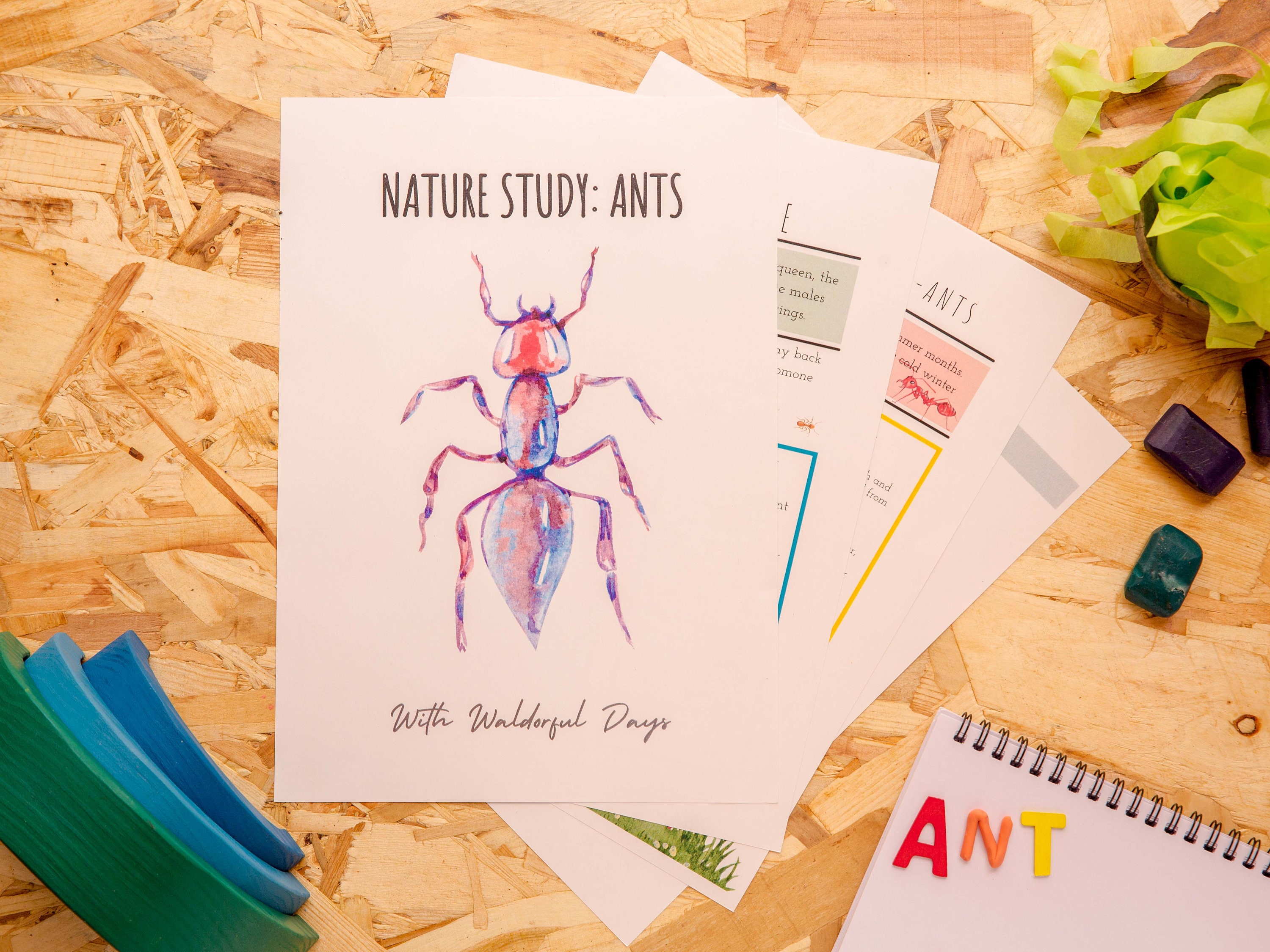 Ants Digital Journal, Printable Waldorf Journal, Ants Anatomy Journal ...