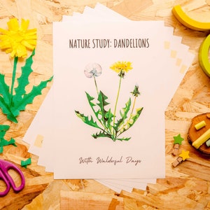 Dandelion Digital Journal, Printable Waldorf Journal, Dandelion Anatomy ...