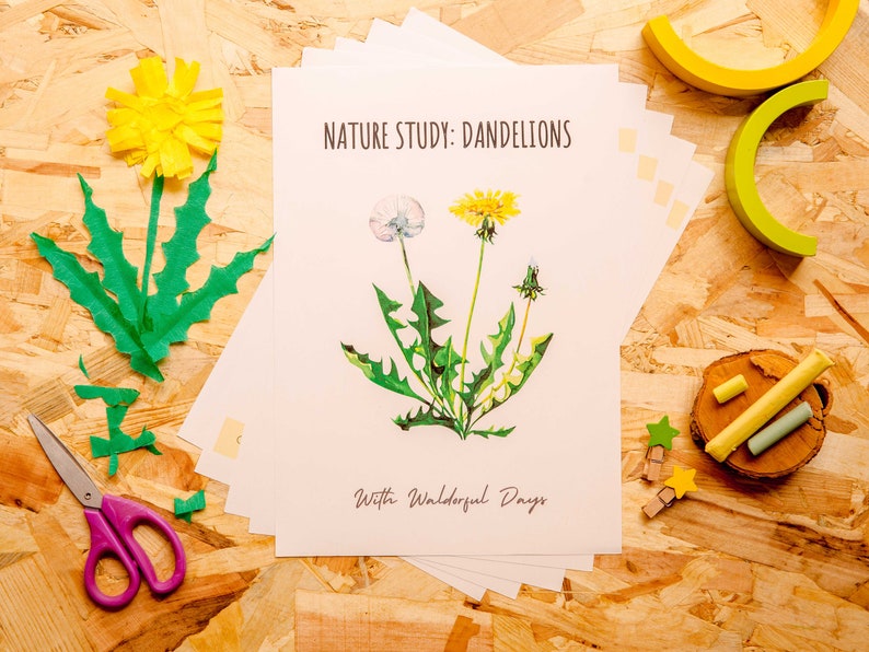 Dandelion Digital Journal, Printable Waldorf Journal, Dandelion Anatomy Journal for Kids in ...