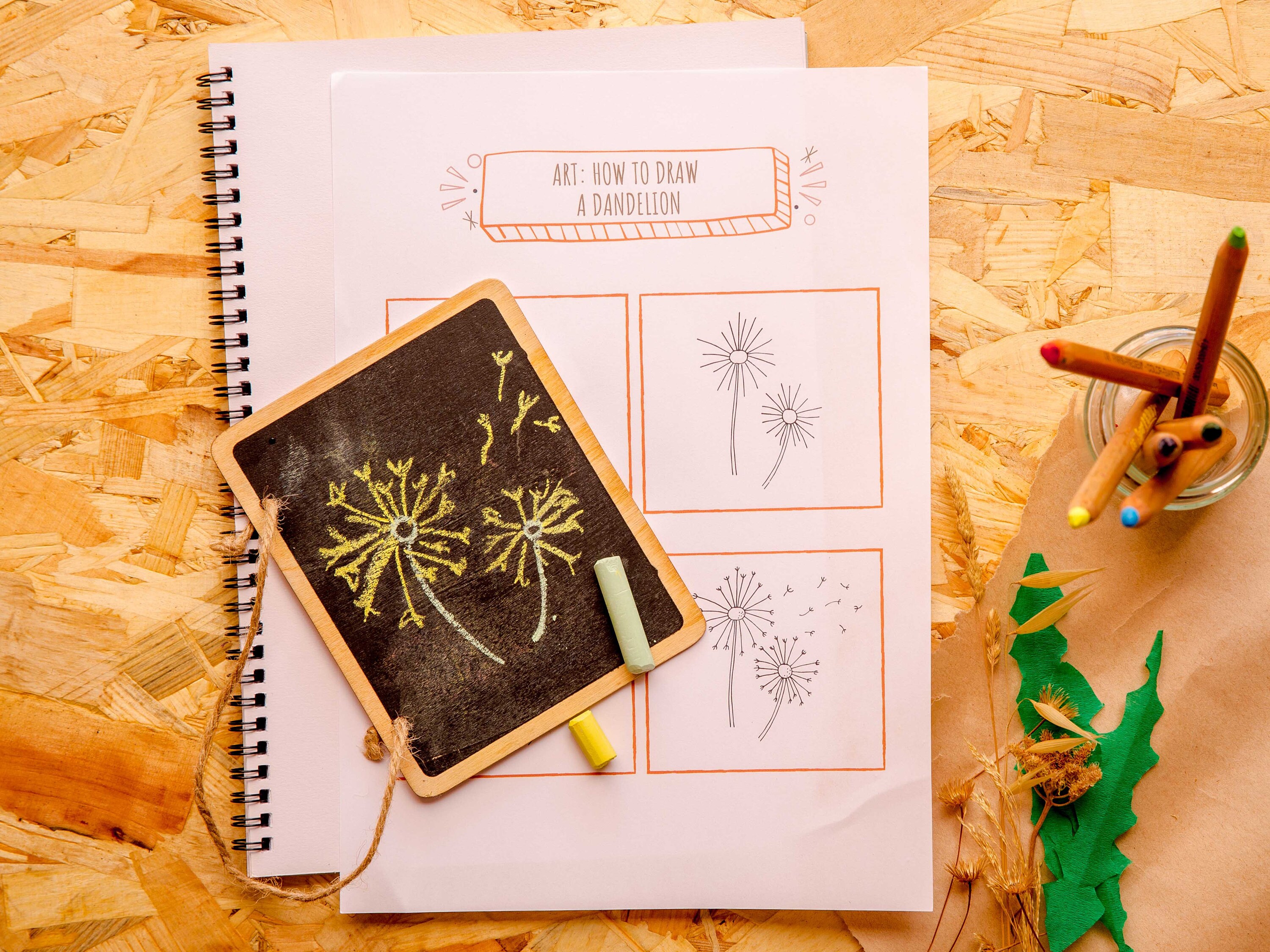 Dandelion Digital Journal, Printable Waldorf Journal, Dandelion Anatomy ...