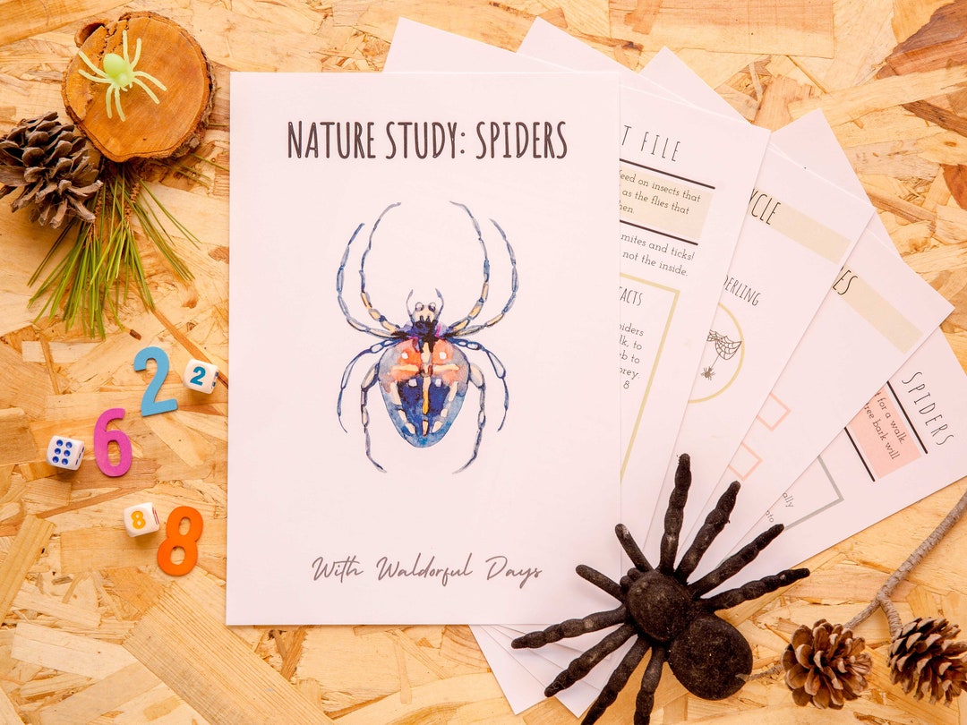 Spiders Journal for Kids, Digital Download, Waldorf Journal to Print at ...