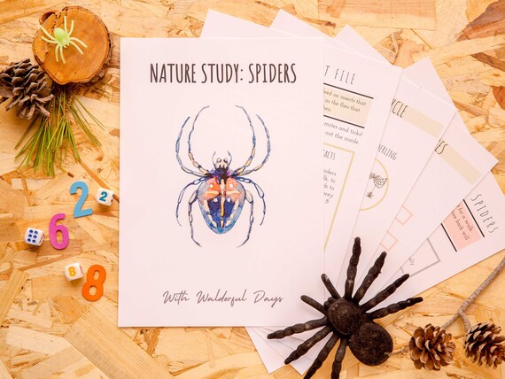 Spiders Journal for Kids Digital Download Waldorf Journal to - Etsy