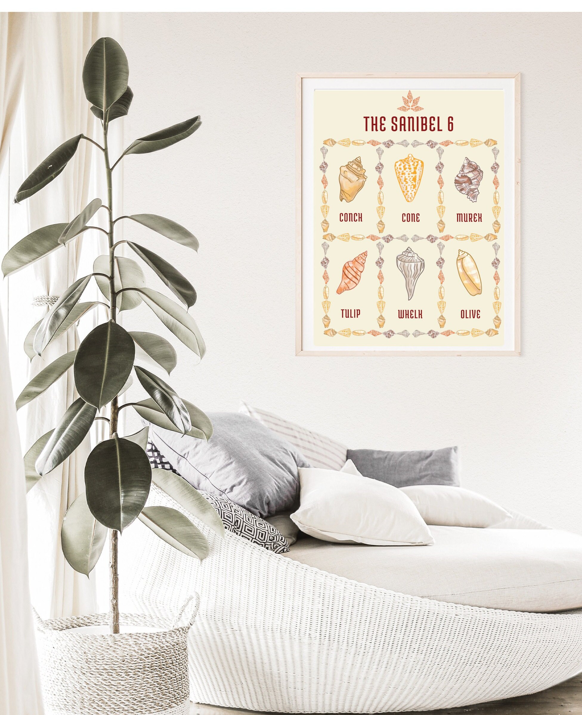 Seashell Poster- the Sanibel 6 Poster, Sanibel FL Poster - Etsy