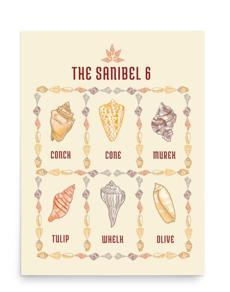 Seashell Poster- the Sanibel 6 Poster, Sanibel FL Poster - Etsy