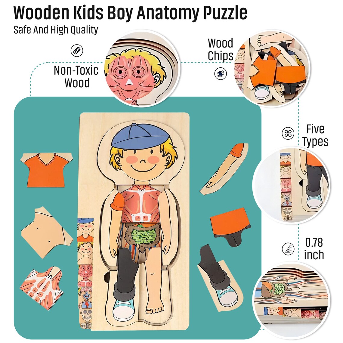 HIGH FIVE 29 Piece Boys Anatomy Play Set Wooden Body Puzzle - Etsy