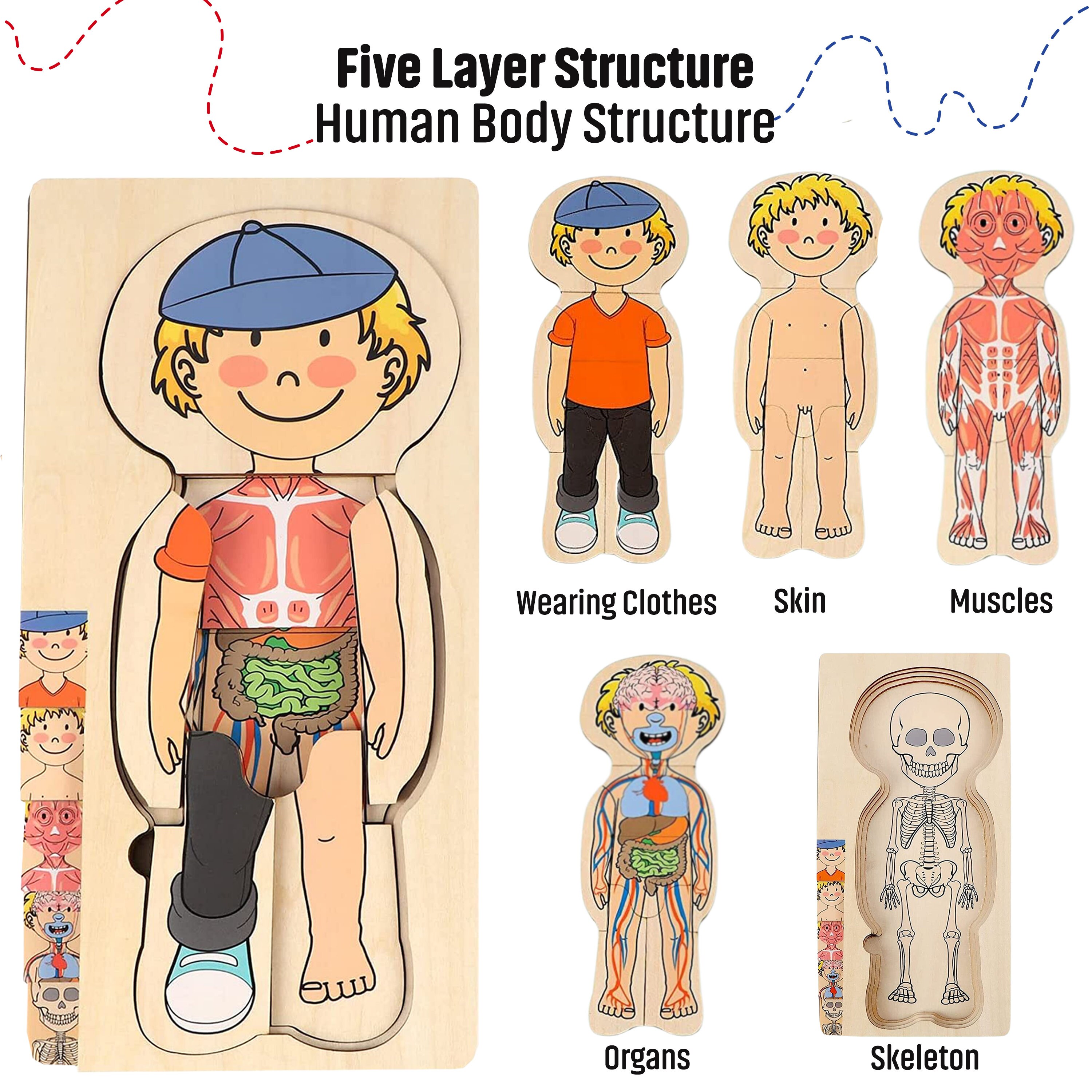 HIGH FIVE 29 Piece Boys Anatomy Play Set Wooden Body Puzzle for Kids ...