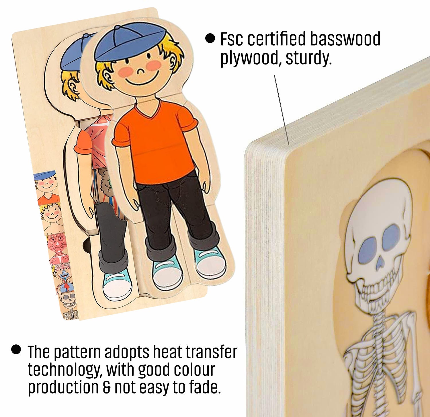 HIGH FIVE 29 Piece Boys Anatomy Play Set Wooden Body Puzzle - Etsy