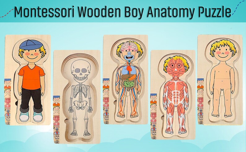 HIGH FIVE 29 Piece Boys Anatomy Play Set Wooden Body Puzzle - Etsy