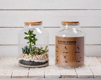 Terrarium Kit - Etsy