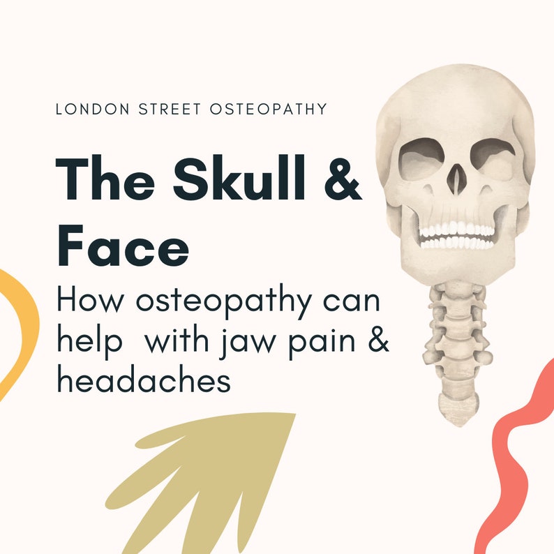 Watercolour Anatomy Illustrated Vectors use on Canva Osteopathy ...