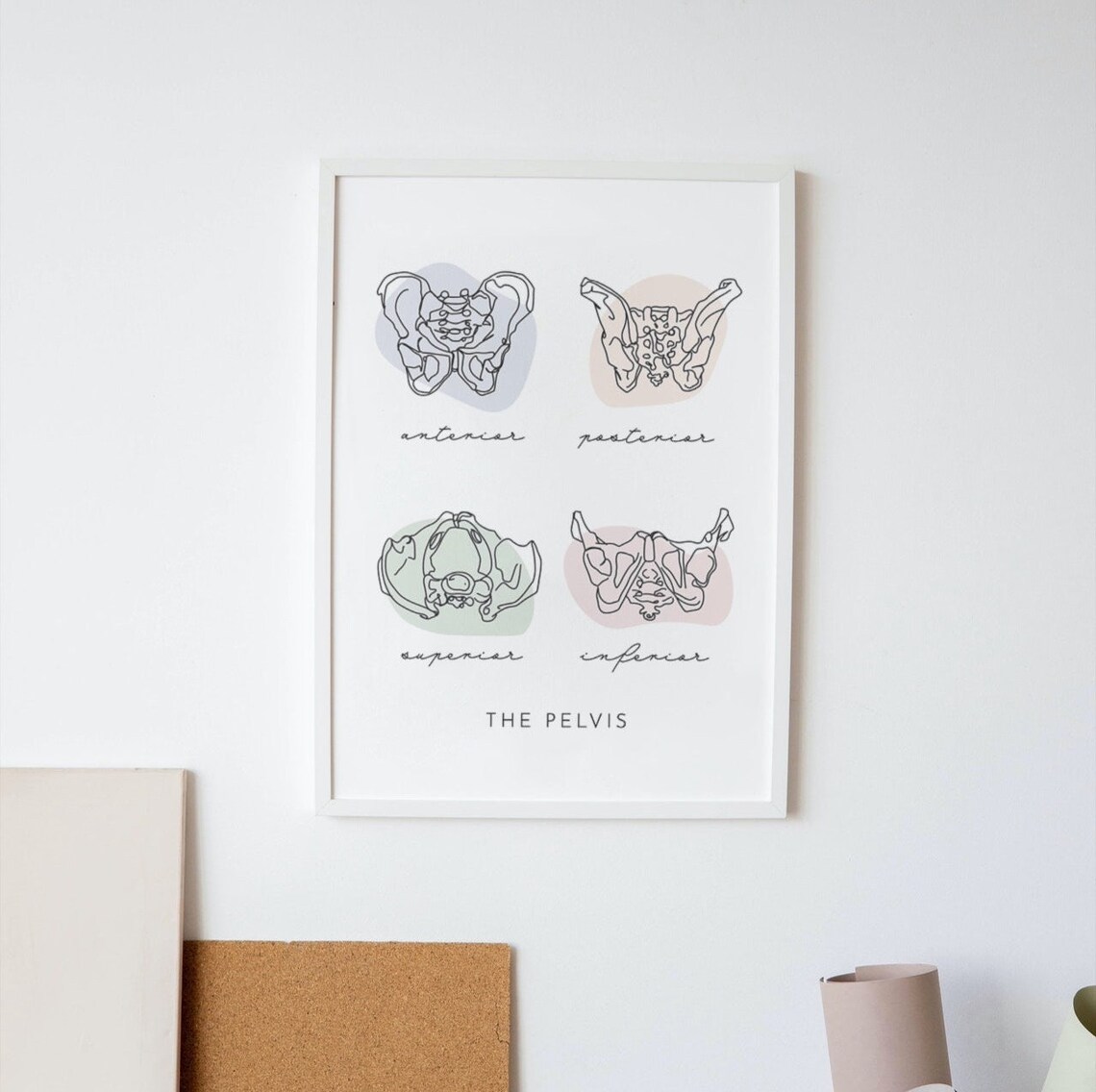 The Pelvis, Printable Wall Art, Clinic Room, Anatomy Poster, Line ...