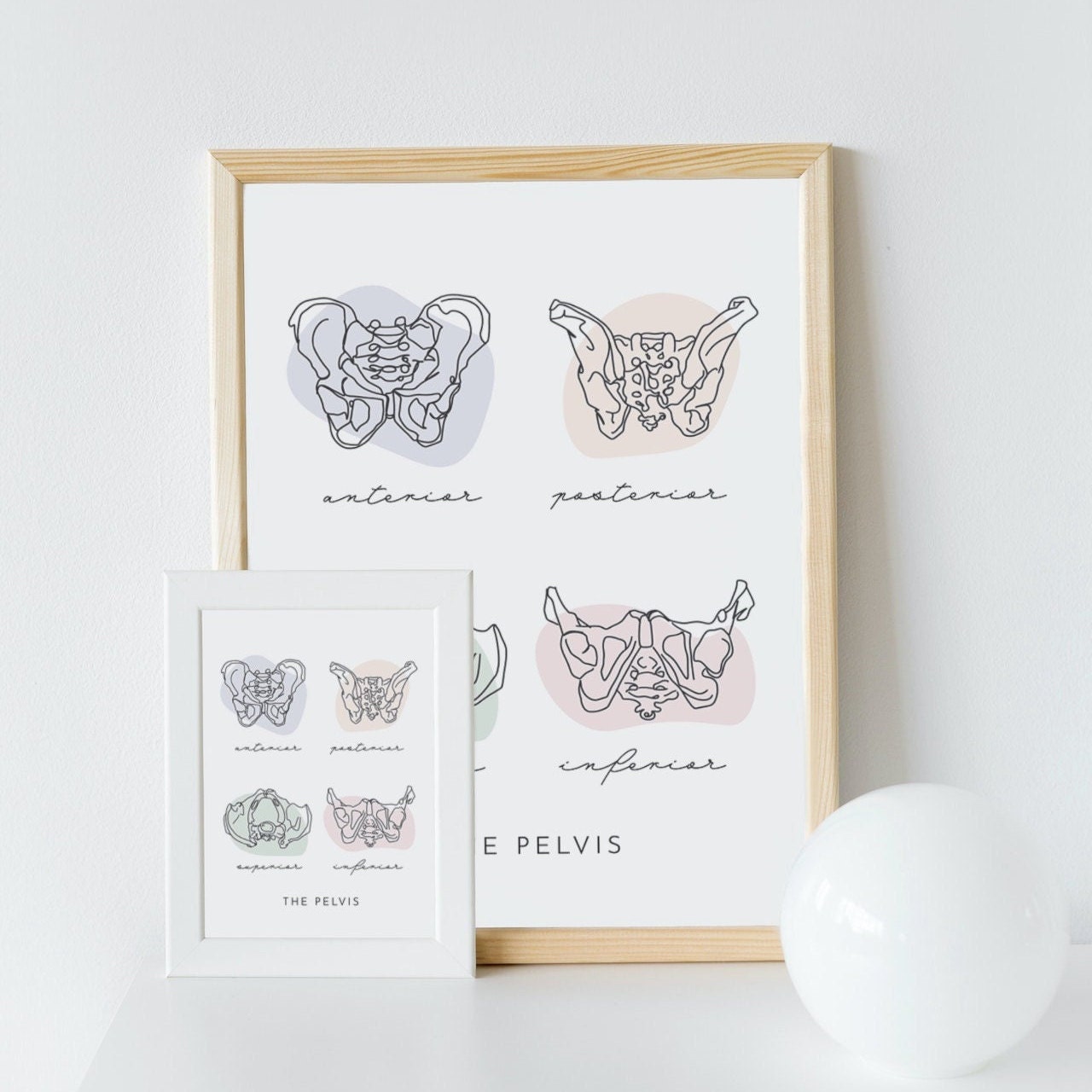 The Pelvis, Printable Wall Art, Clinic Room, Anatomy Poster, Line ...