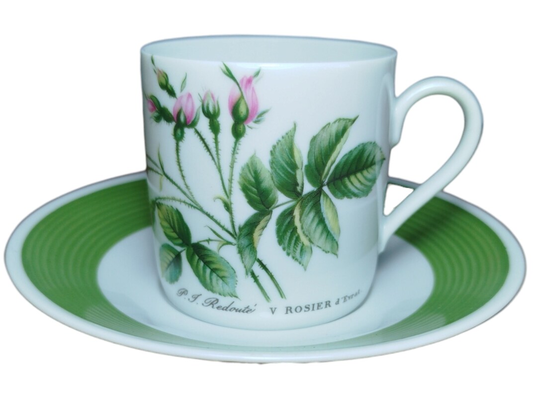 Cup With Saucer From the German Brand Hutschenreuther - Rose/green ...