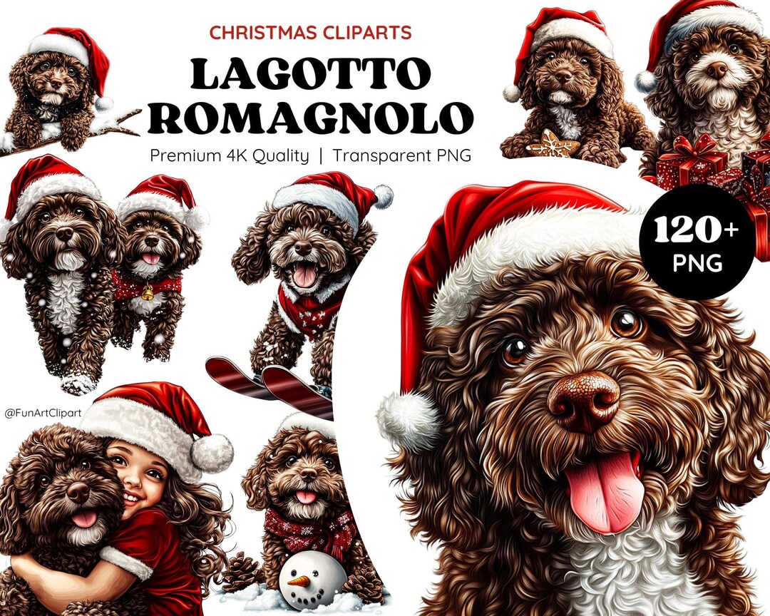 120 Lagotto Romagnolo Christmas Clipart PNG, Cute Dog Winter Images ...