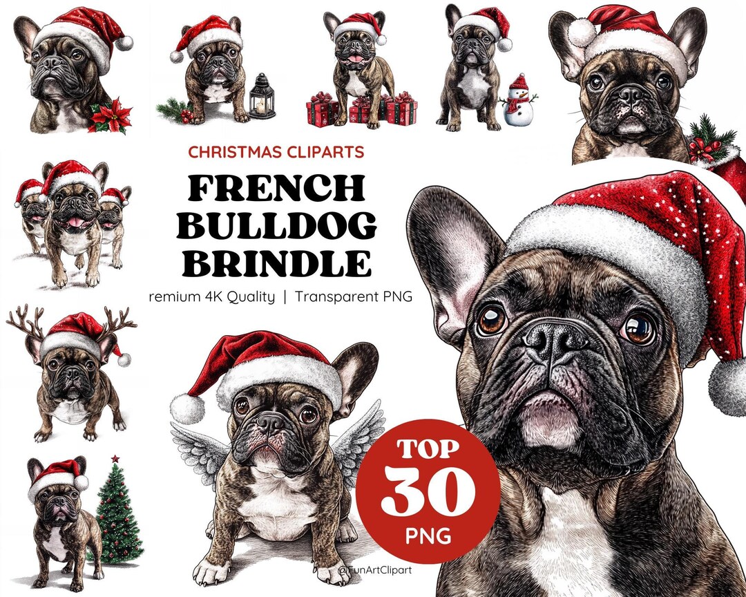 TOP 30 French Bulldog (brindle) Christmas Clipart PNG, Cute Frenchie Dog Winter Images With ...