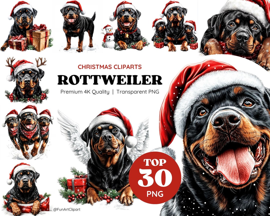 TOP 30 Rottweiler Christmas Clipart PNG, Cute Rottweil Dog Winter ...