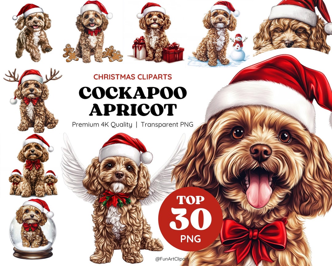 TOP 30 Cockapoo Christmas Clipart PNG, Cute Golden Apricot Cockapoo ...