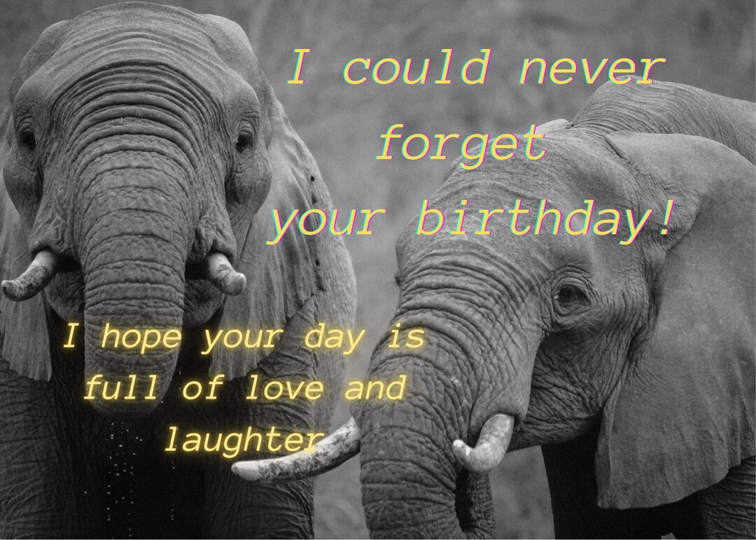 Happy Birthday Elephants Never Forget - Etsy