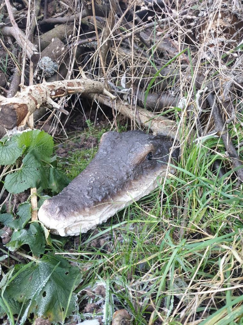 Latex Mold 3D Lifelike Crocodile Head Casting Mold for Concrete Ceramic ...