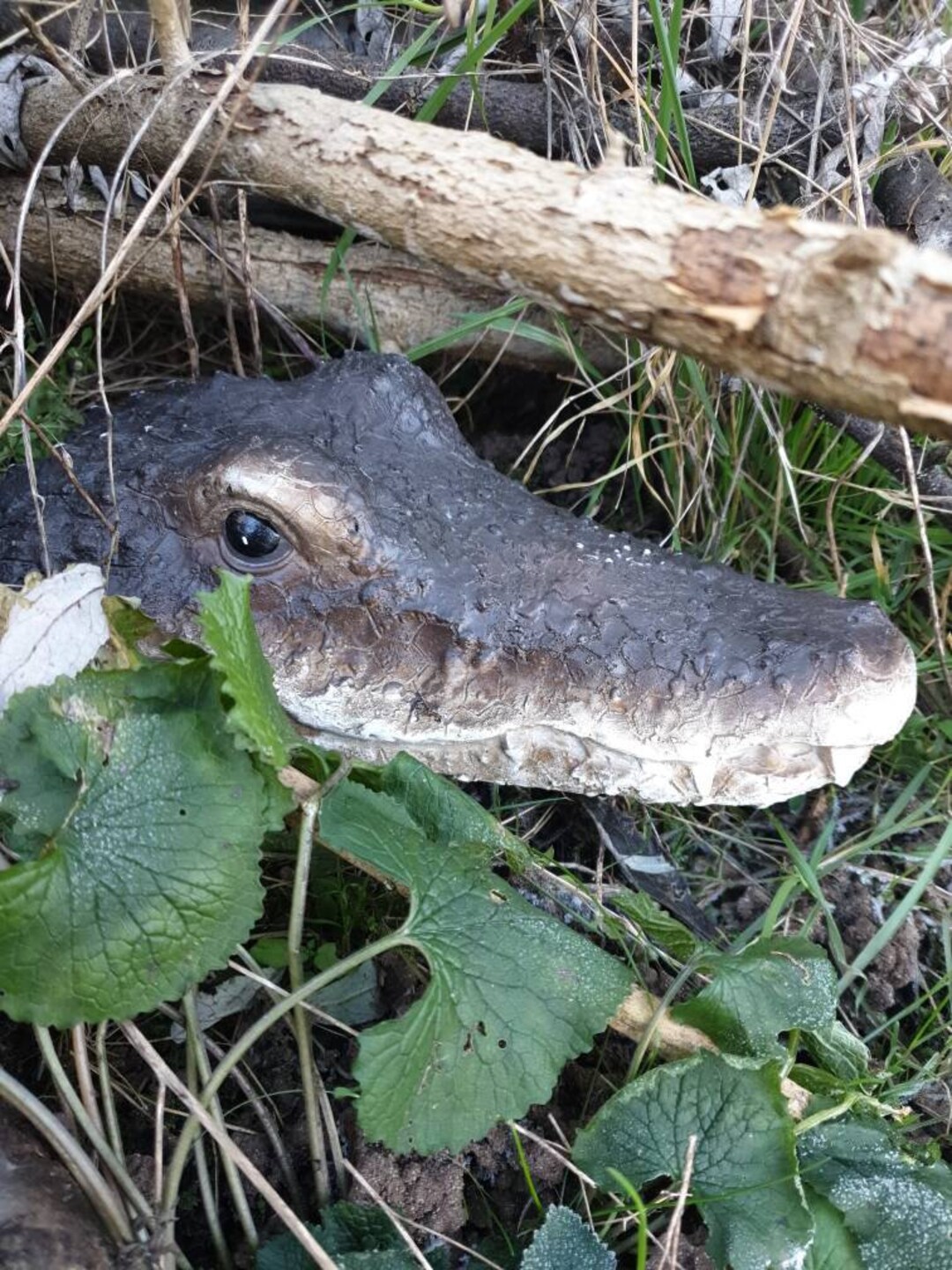 Latex Mold 3D Lifelike Crocodile Head Casting Mold for Concrete Ceramic ...