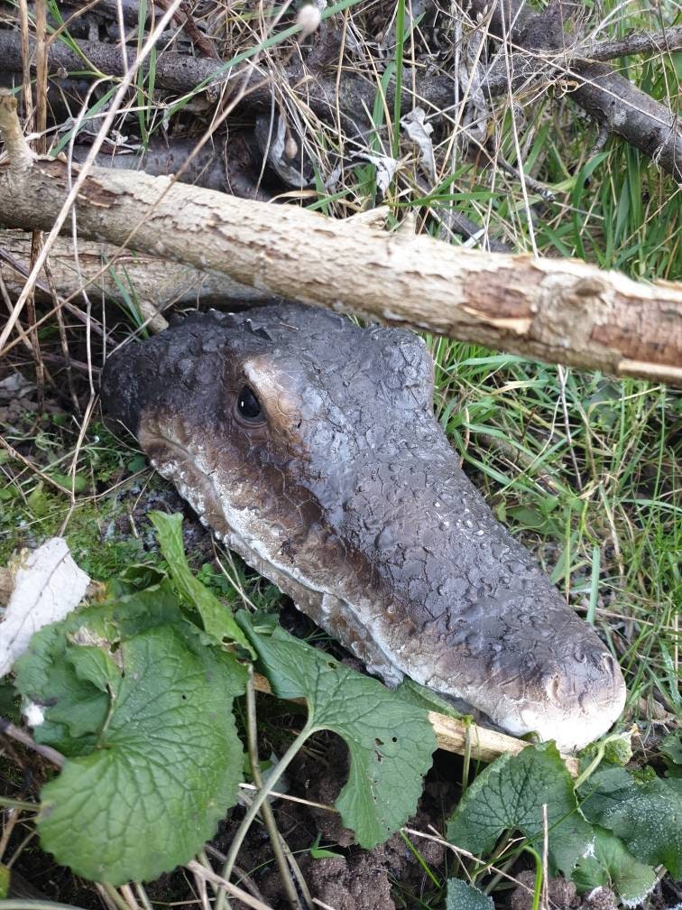 Latex Mold 3D Lifelike Crocodile Head Casting Mold for Concrete Ceramic ...