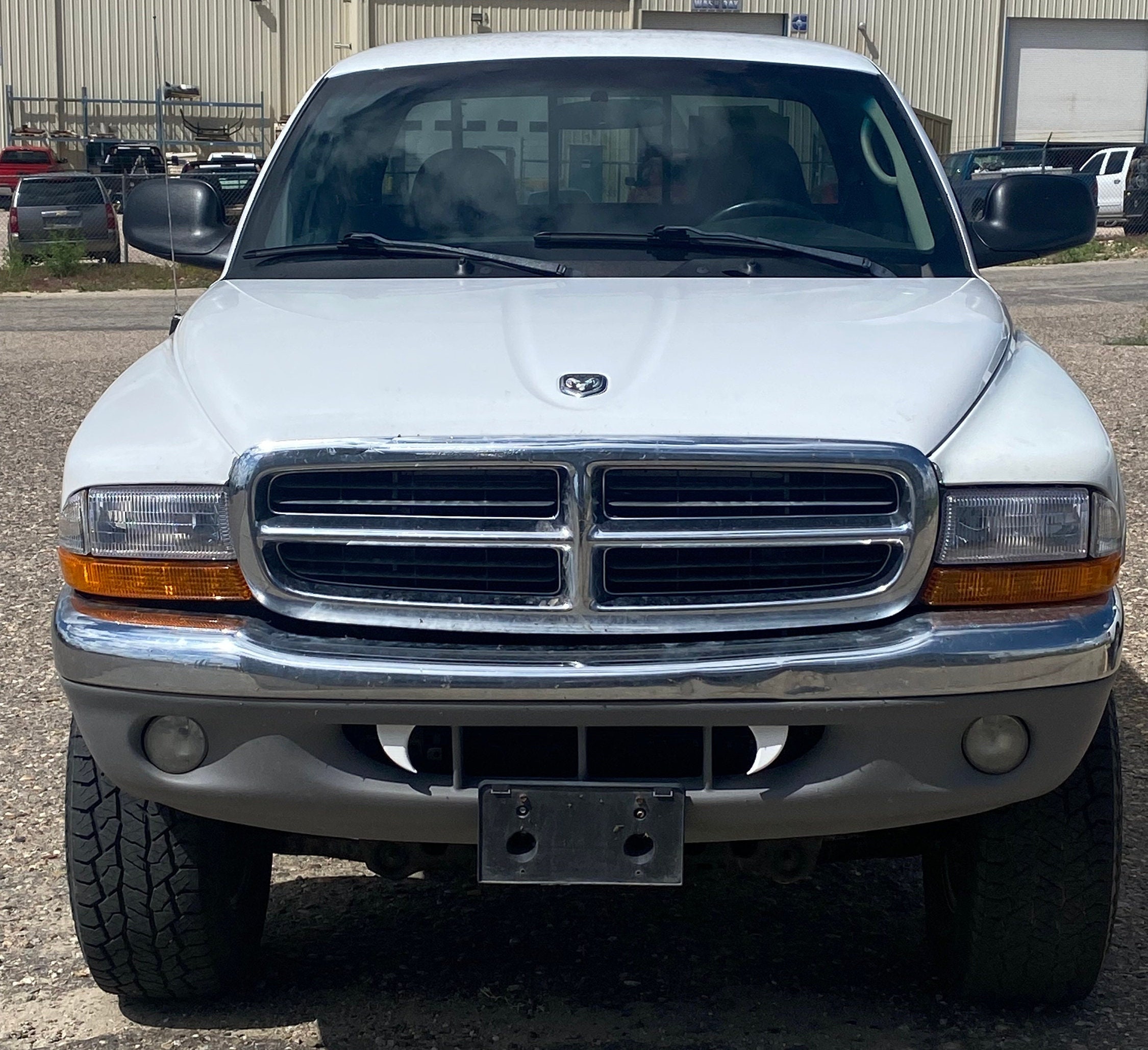 Carcanines: Transform Your Ride With 3D Printed Car Fangs! - Etsy