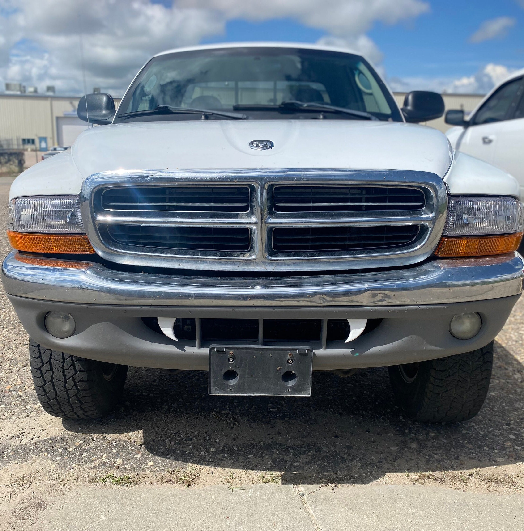 Carcanines: Transform Your Ride With 3D Printed Car Fangs! - Etsy