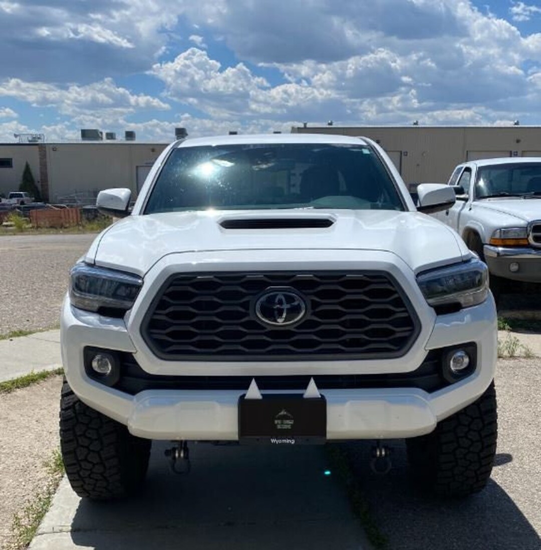Carfangs: Transform Your Ride With 3D Printed Car Fangs! - Etsy